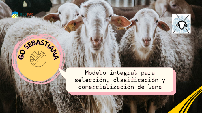 El Grupo Operativo Sebastiana trabaja para aumentar la rentabilidad de ...