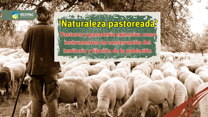 El proyecto “Naturaleza Pastoreada” pone en valor la importancia del ...